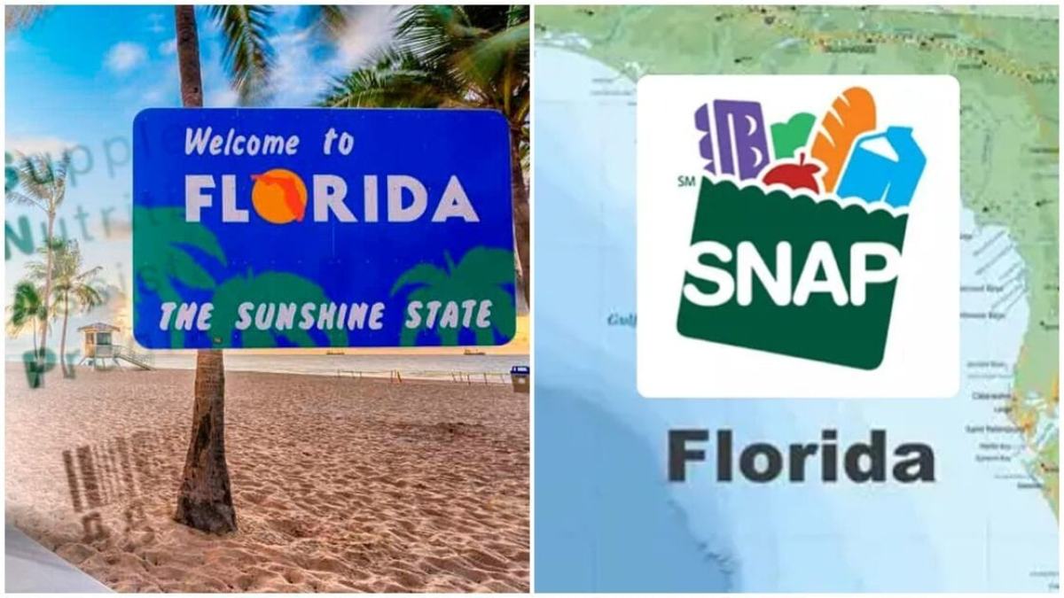 Programa SNAP anuncia sus pagos en Florida para esta semana. Calendario ...