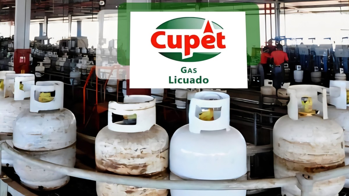 CUPET 古巴各省液化天然气销售计划报告