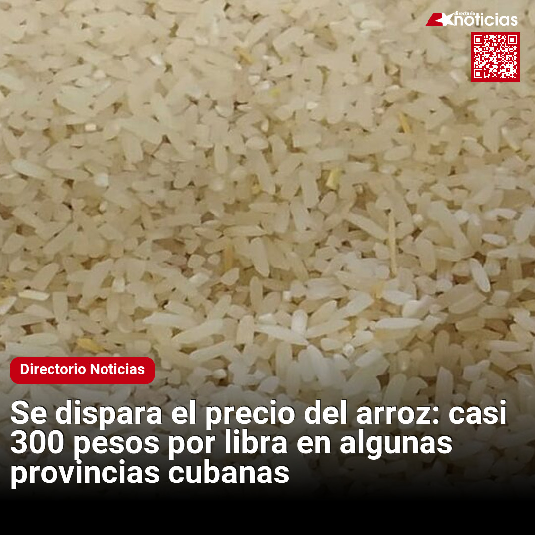 Se dispara el precio del arroz: casi 300 pesos por libra en algunas ...