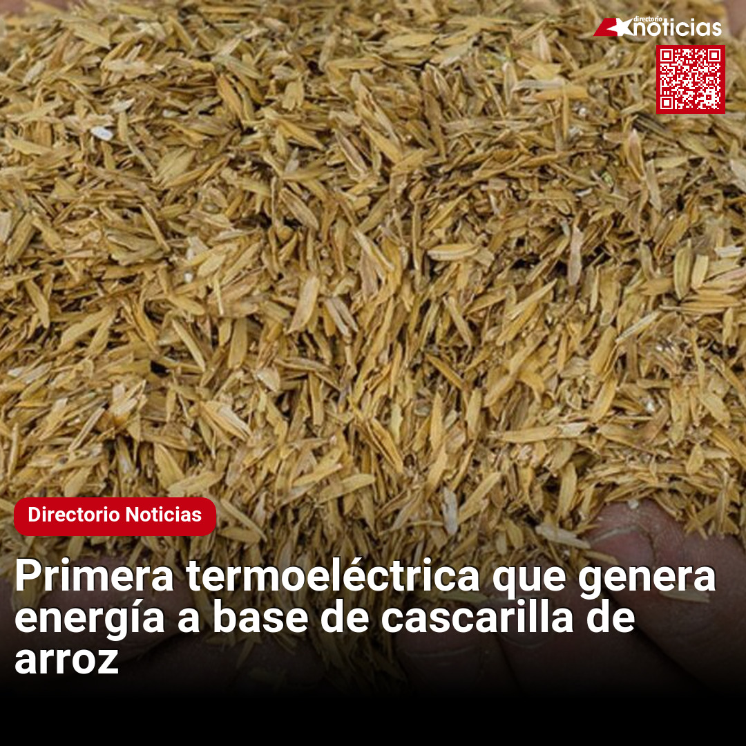 Primera termoeléctrica que genera energía a base de cascarilla de arroz