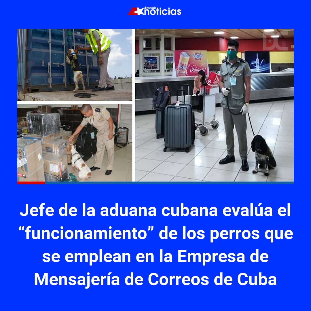 Cuban customs chief evaluates the performance of the dogs used by the ...