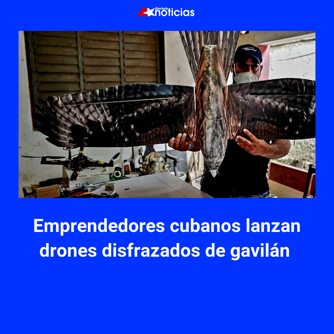 Emprendedores cubanos lanzan drones disfrazados de gavilán