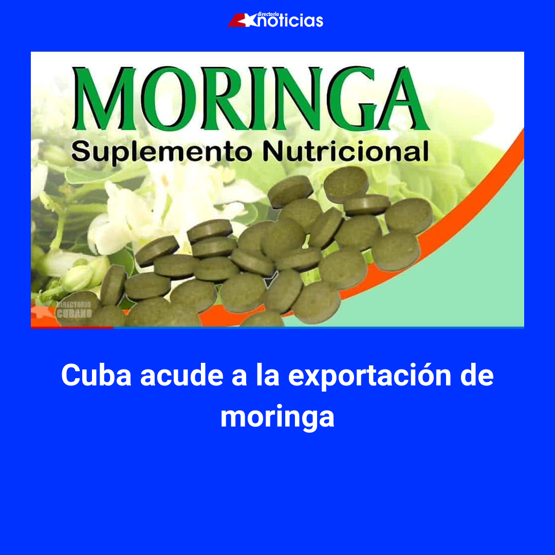 Cuba acude a la exportación de moringa