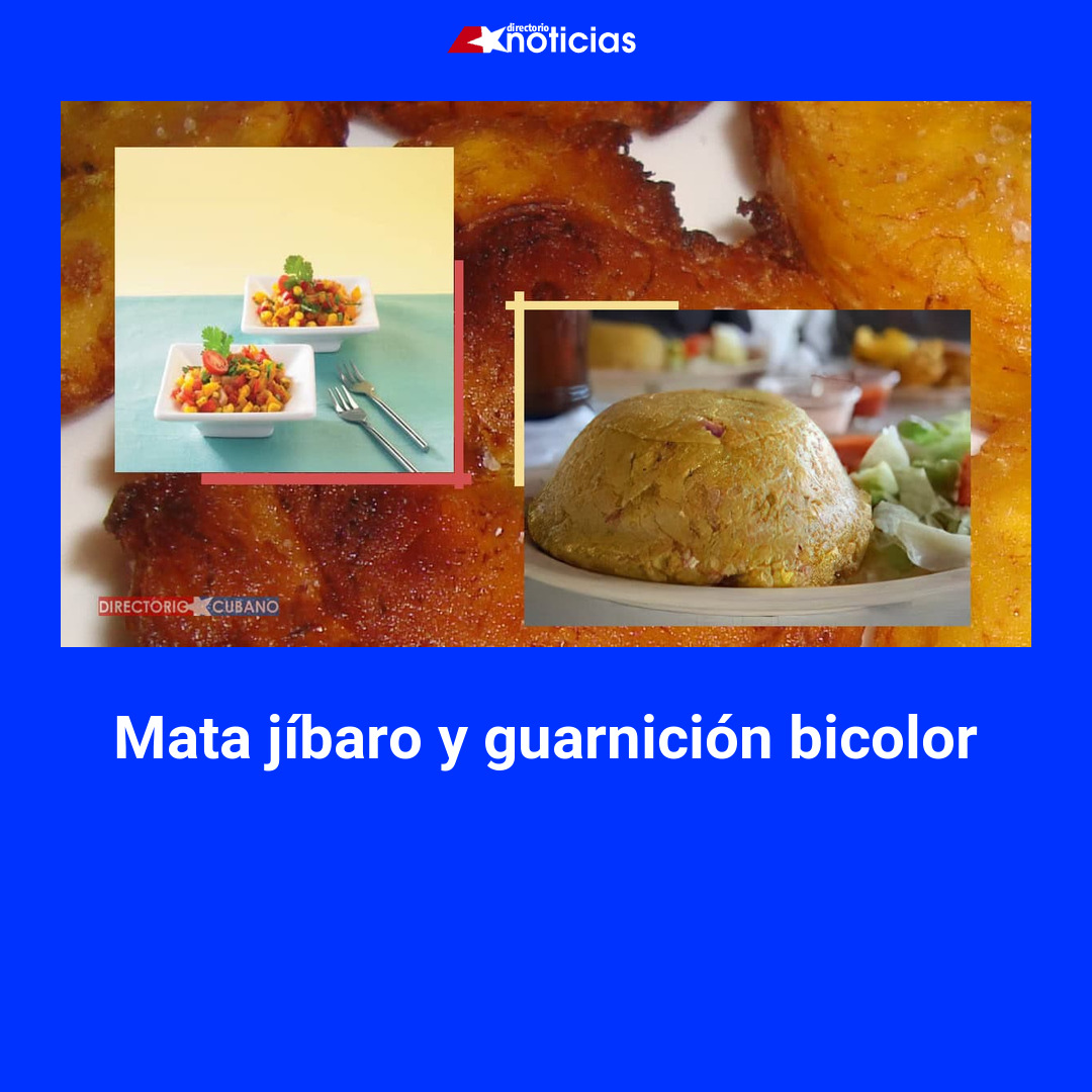 Mata jíbaro y guarnición bicolor