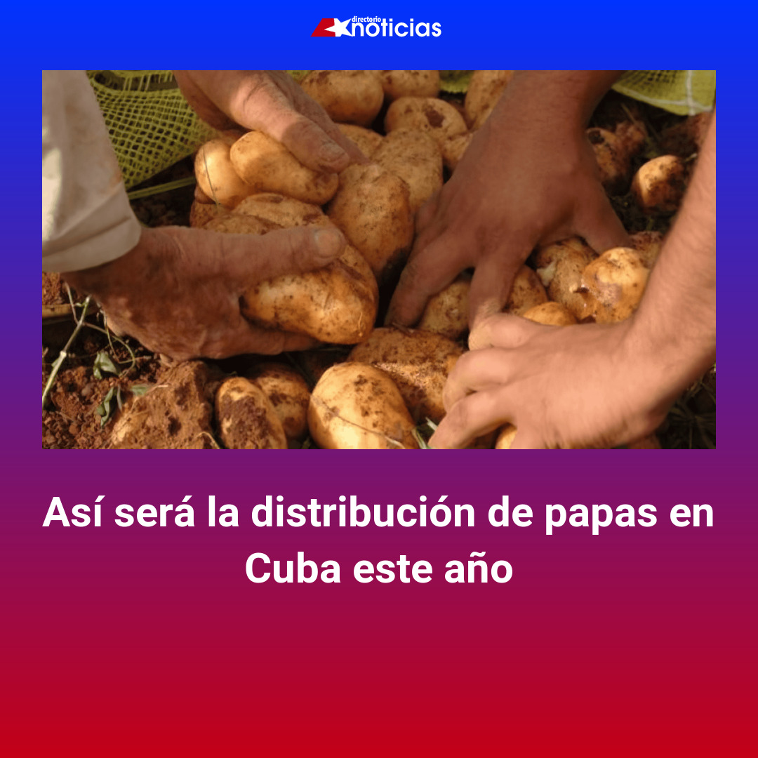 Así será la distribución de papas en Cuba este año