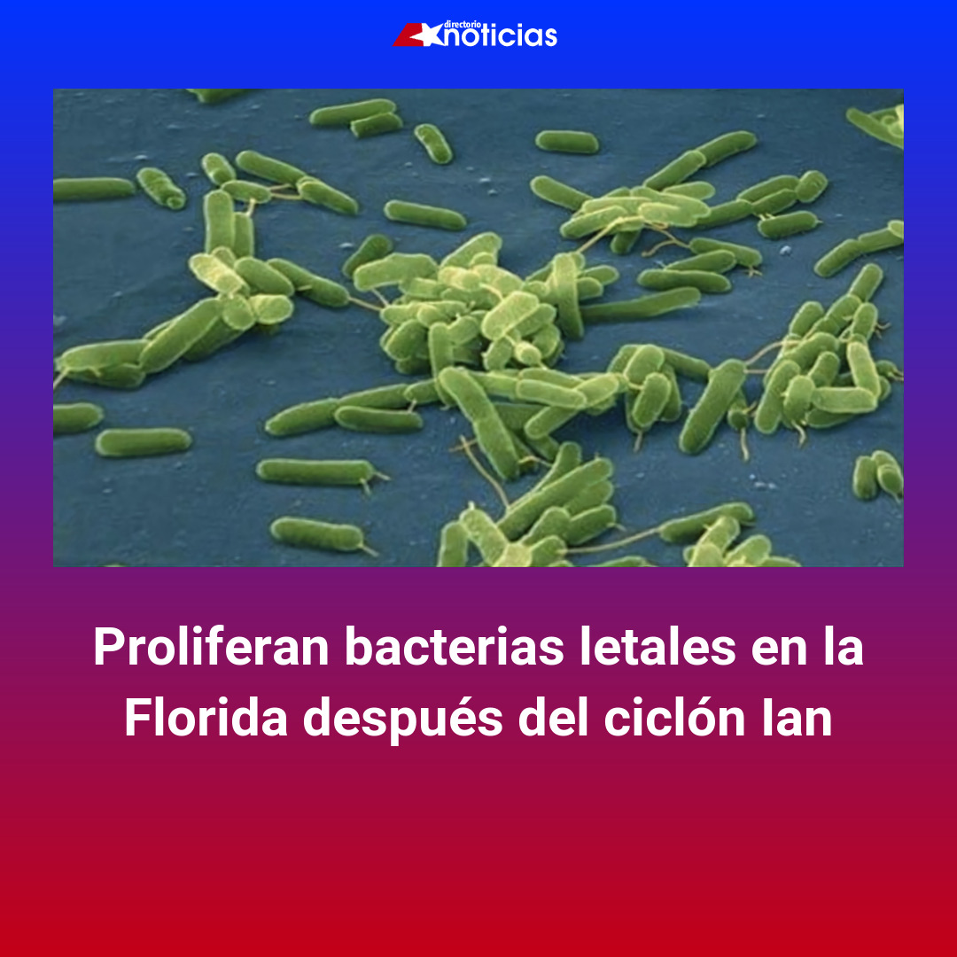 Proliferan bacterias letales en la Florida después del ciclón Ian