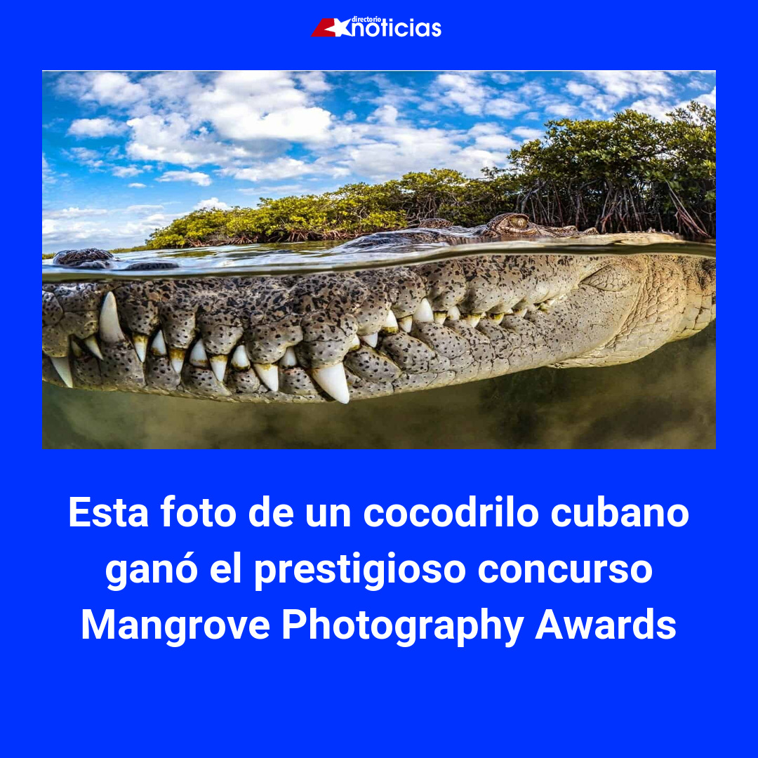 Esta foto de un cocodrilo cubano ganó el prestigioso concurso Mangrove ...