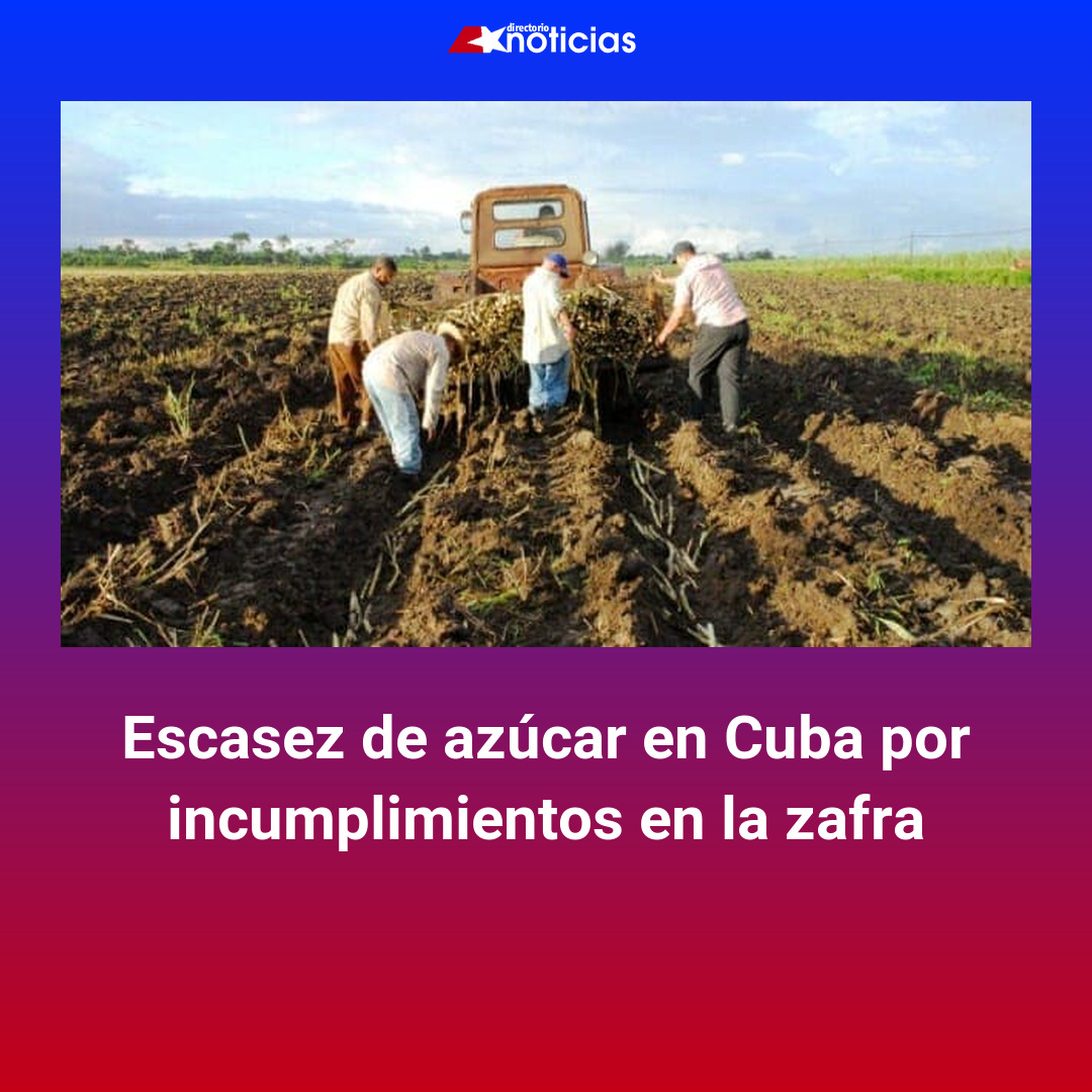 Escasez de azúcar en Cuba por incumplimientos en la zafra
