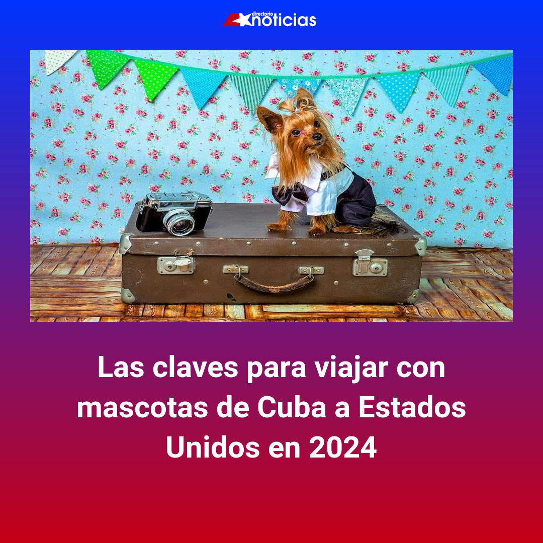 Las claves para viajar con mascotas de Cuba a Estados Unidos en 2024
