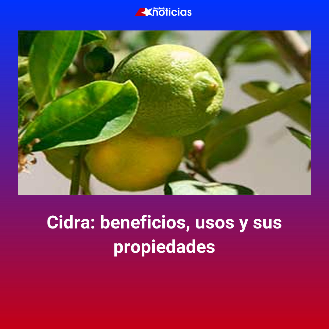 Cidra: beneficios, usos y sus propiedades