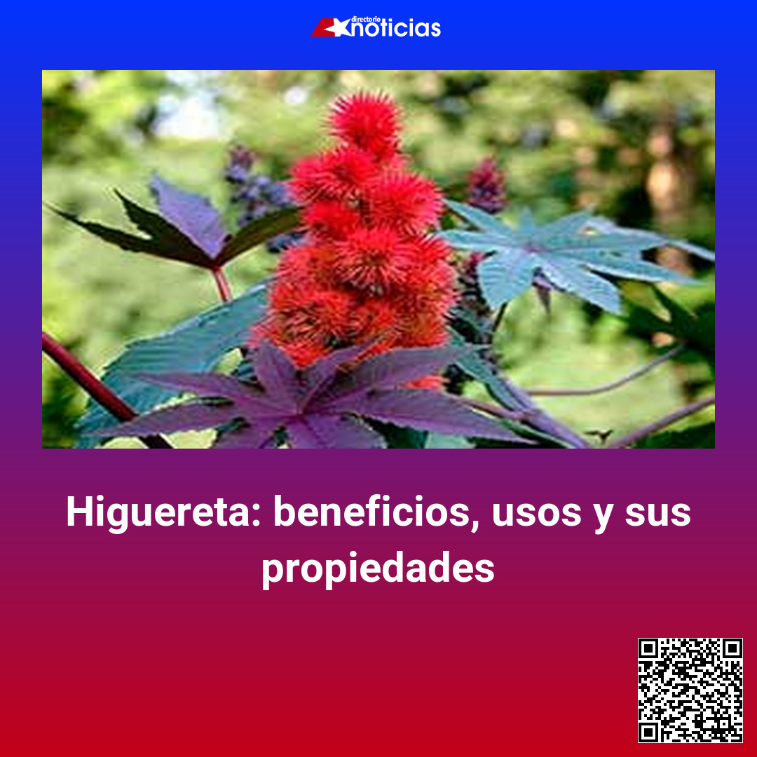 Higuereta: beneficios, usos y sus propiedades