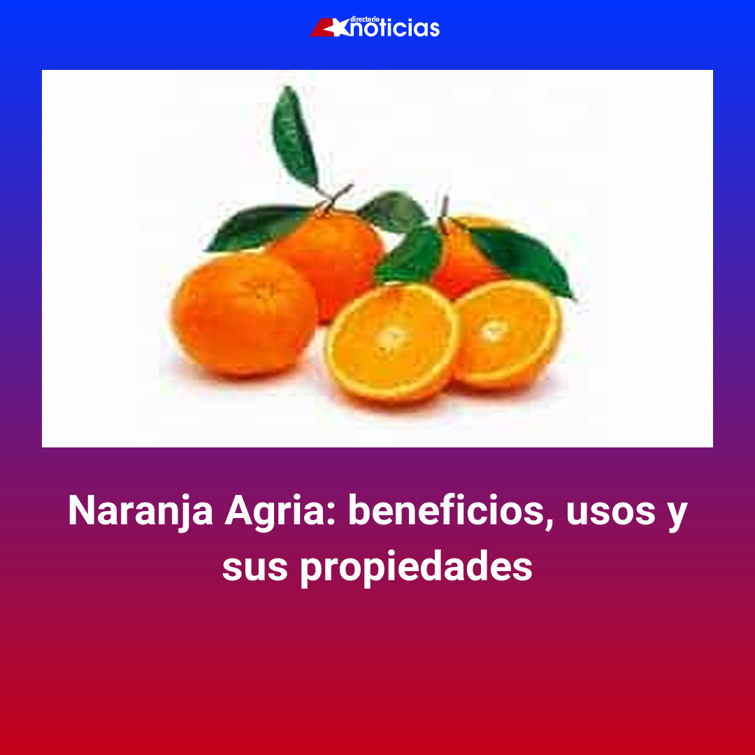Naranja Agria: beneficios, usos y sus propiedades