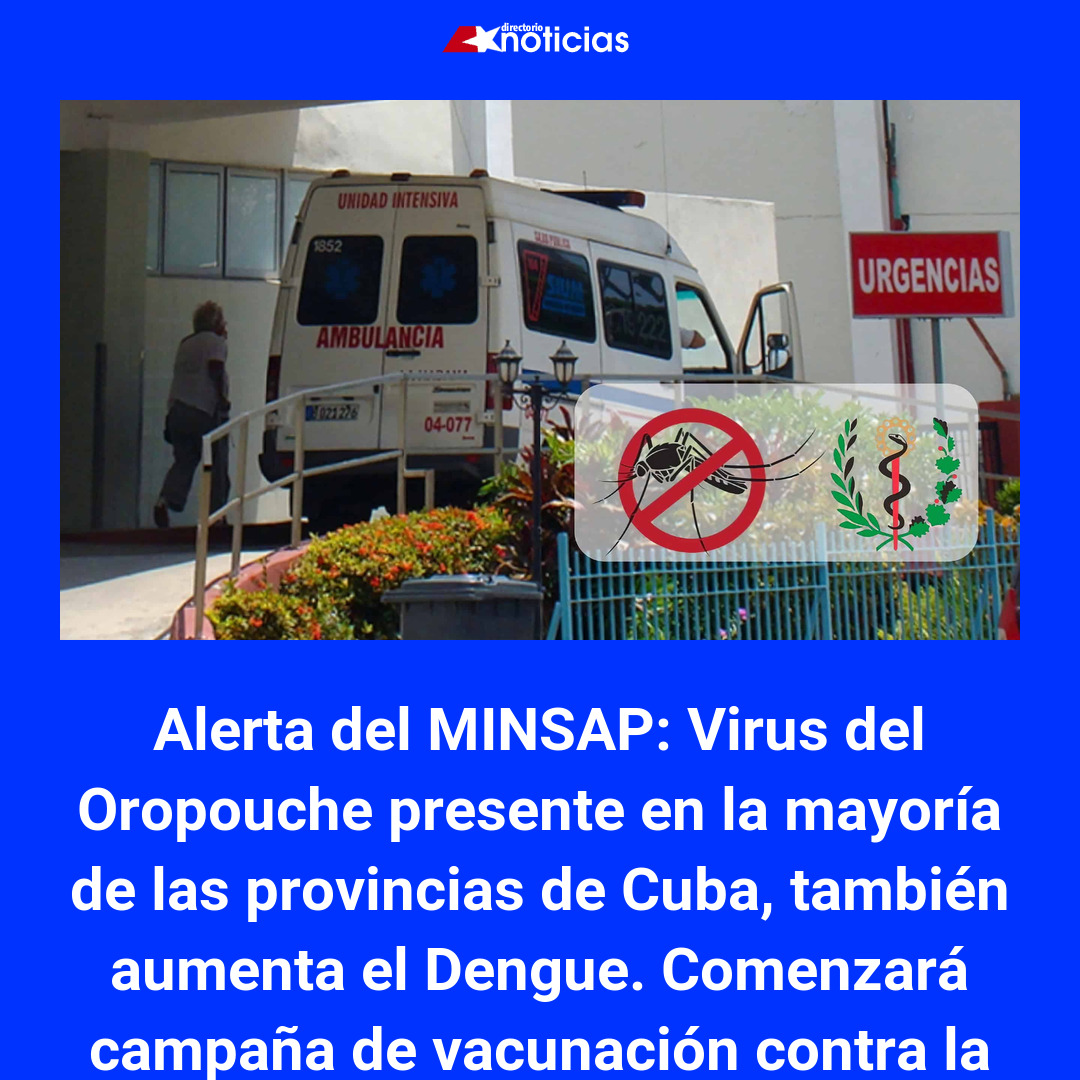 Alerta del MINSAP: Virus del Oropouche presente en la mayoría de las ...